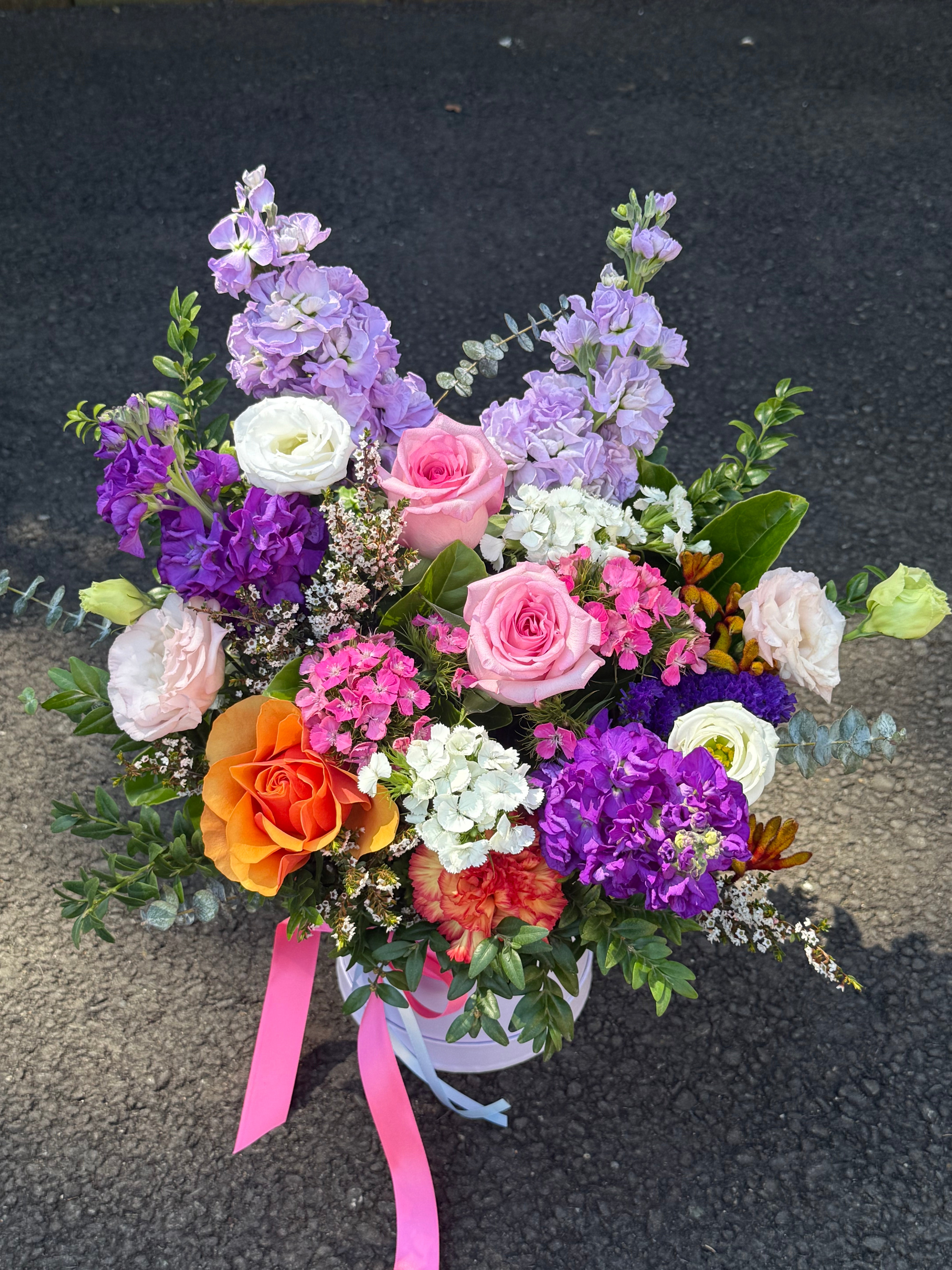 Lavender Daydream – No Walrus Just Flowers